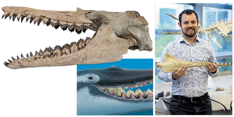 A Whale of a Tale | Charleston SC | Charleston Magazine